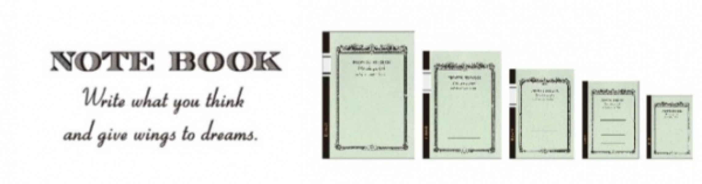 Apica Notebooks - Basic